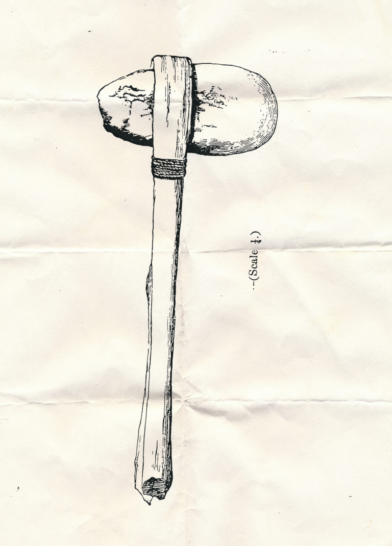 Clam shell axe head, Solomon Islands | Storylions