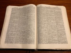 A dictionary with pages | Storylions